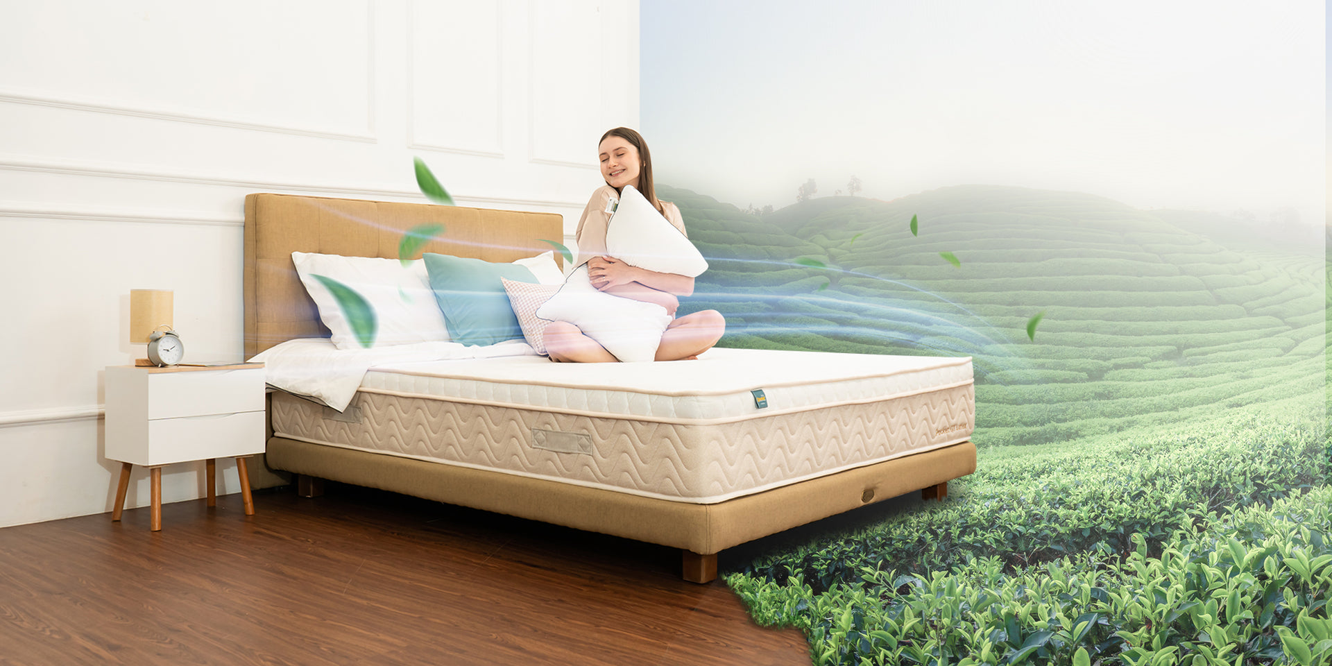 Quantum Springbed